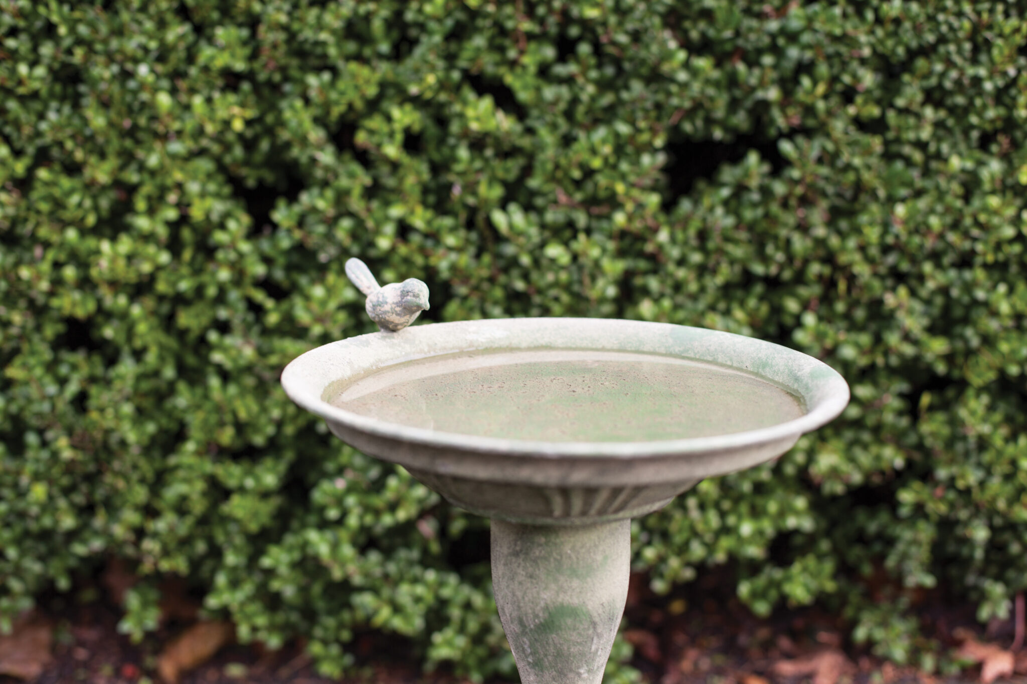 Vintage Ceramic Bird Bath