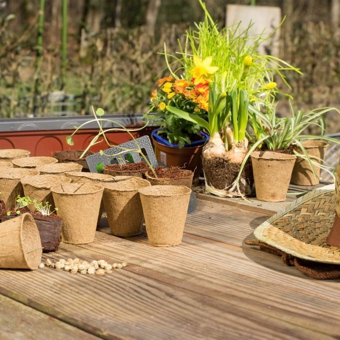 Embracing Eco-Friendly Gardening: The Benefits of Biodegradable Plant Pots